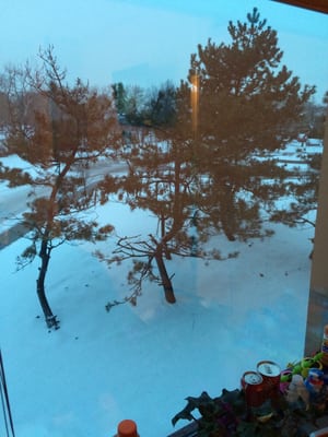 MJHS MENORAH CENTER FOR REHABILITATION AND NURSING CARE - Updated ...