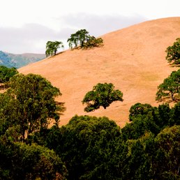 First Service Residential Reviews | Read Customer Service Reviews of ...