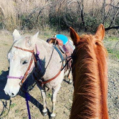 R-RANCH AT THE LAKE - 52 Photos & 32 Reviews - 1962 Capell Valley Rd ...