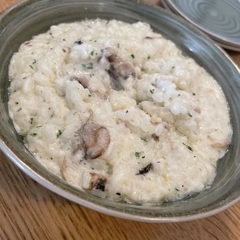 PACCI ITALIAN KITCHEN & BAR - Updated December 2025 - 312 Photos & 337 ...