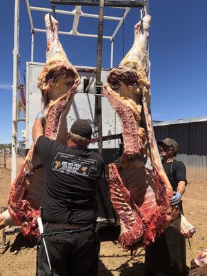ARIZONA MOBILE MEAT PROCESSING - Updated October 2025 - 355 Ellen Way, Williams, Arizona ...