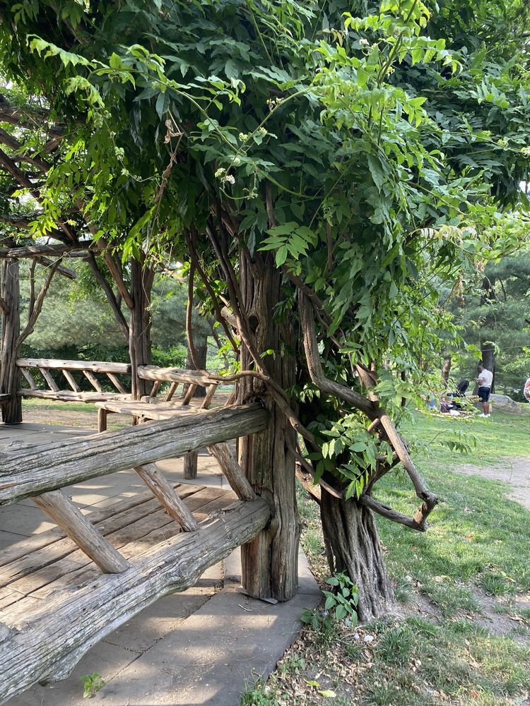 COP COT - Updated June 2025 - 15 Photos - E 60th St, New York, New York ...