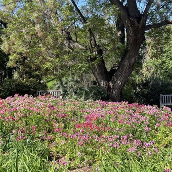 UCR BOTANIC GARDENS - Updated January 2026 - 699 Photos & 136 Reviews ...