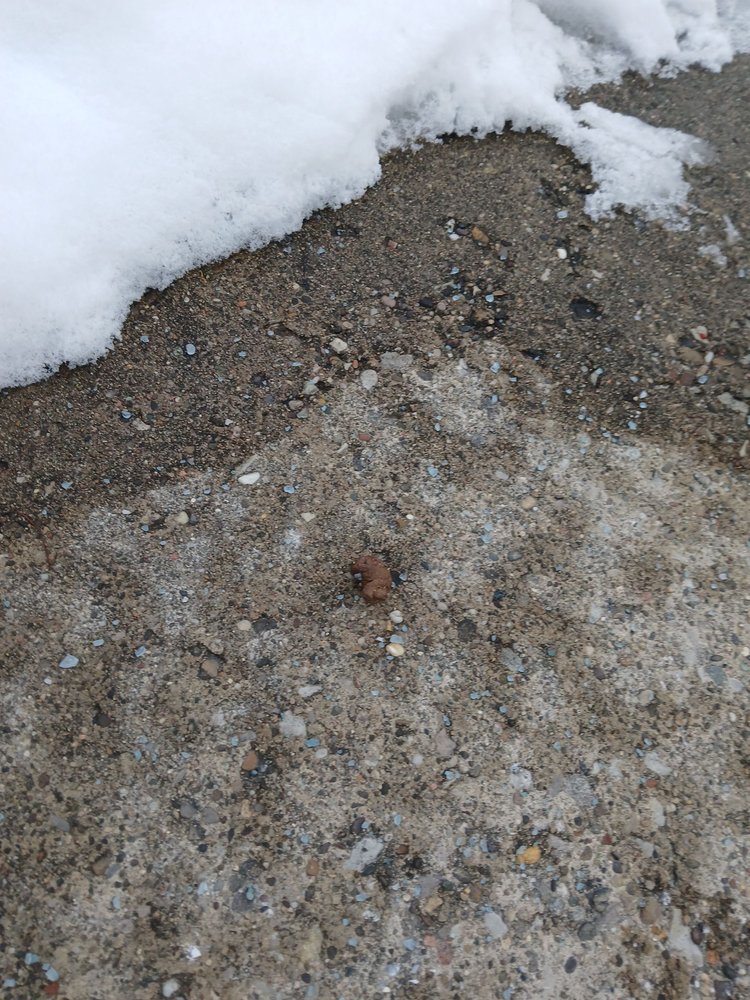 TRACE RIDGE APARTMENTS - Updated January 2026 - 11 Photos - 800 Loretta ...