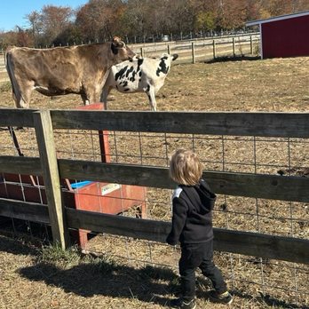 SUFFOLK COUNTY FARM - Updated December 2025 - 67 Photos & 16 Reviews ...