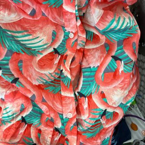 GOODWILL INDUSTRIES-SUNCOAST - Updated October 2025 - 73 Photos & 49 ...