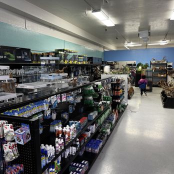 STRICTLY REEF - Updated December 2025 - 122 Photos & 68 Reviews - 907 W ...