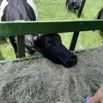 OIL RANCH - Updated September 2024 - 97 Photos & 48 Reviews - 23501 ...