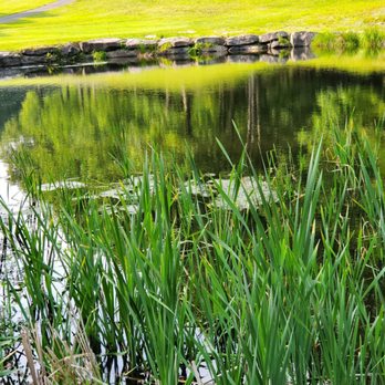 PAUPACK HILLS - Updated December 2025 - 73 Photos - 125 Country Club Rd ...