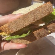 CON PANE RUSTIC BREADS & CAFE - 1692 Photos & 1554 Reviews - 2750 Dewey ...