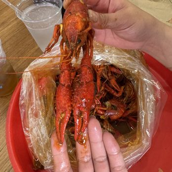 TASTY TAILS - Updated July 2025 - 431 Photos & 275 Reviews - 4950 ...