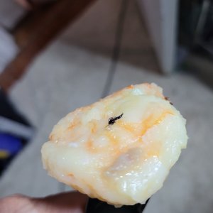 LITTLE CHOPSTICKS III - Updated April 2025 - 45 Photos & 41 Reviews ...