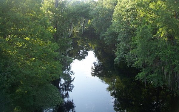 CROOM WILDLIFE MANAGEMENT AREA - Updated December 2025 - Off County Rd ...