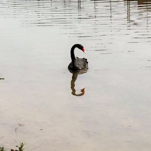 LAKE ATALANTA - 62 Photos & 24 Reviews - 500 E Walnut St, Rogers ...