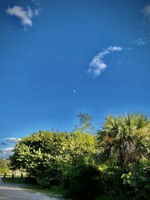 ROUND ISLAND RIVERSIDE PARK - Updated April 2024 - 50 Photos - 2200 ...