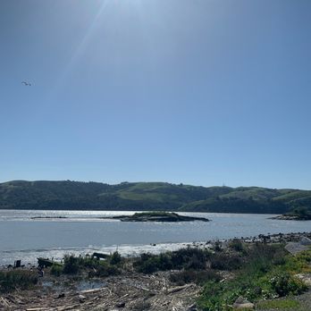 BENICIA PUBLIC PIER & BEACH - Updated December 2025 - 212 Photos & 39 ...