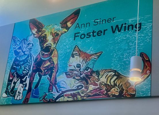 ARIZONA HUMANE SOCIETY - PAPAGO PARK CAMPUS - Updated May 2025 - 45 ...