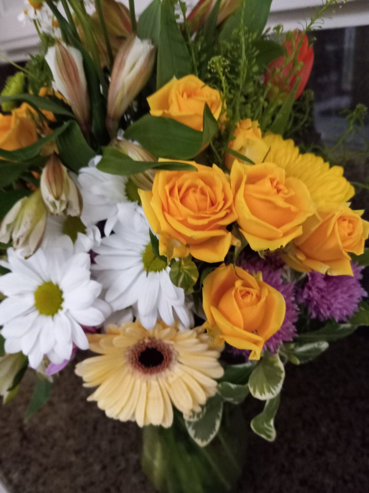 FLOWER OUTLET - Updated December 2025 - 43 Reviews - 219 Mt Hermon Rd ...