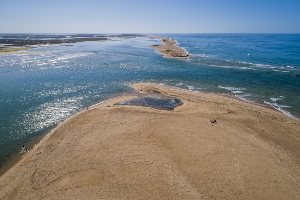 RIA FORMOSA BOAT TOURS - Updated February 2025 - Rua Coronel António ...