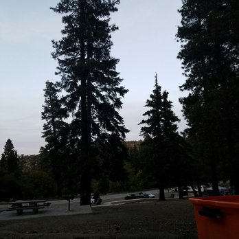 APPLE TREE CAMPGROUND - Updated December 2025 - 22 Photos - Wrightwood ...