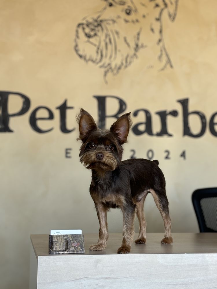 PET BARBER - Updated December 2025 - 131 Photos & 26 Reviews - 27645 ...
