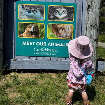 CURIODYSSEY - Updated January 2025 - 866 Photos & 345 Reviews - 1651 ...