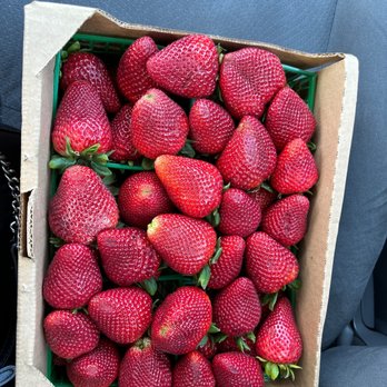 SANCHEZ PRODUCE - Updated June 2025 - 54 Photos & 17 Reviews - 16230 ...