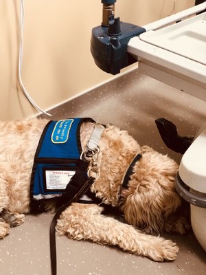 ADVOCATE GOOD SAMARITAN HOSPITAL - Updated December 2025 - 35 Photos ...