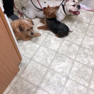 HESS RIDGE ANIMAL HOSPITAL - Updated December 2025 - 21 Photos - 12225 ...