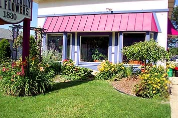 AMBATI FLOWERS - Updated January 2026 - 12 Photos & 28 Reviews - 1830 S ...