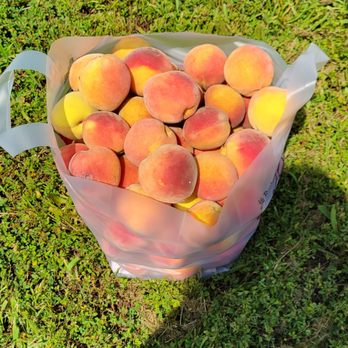 BUSH NECK FARM - Updated December 2025 - 14 Photos - 1502 Bush Neck Rd ...