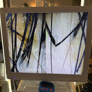 HARU HEAD SPA - Updated July 2024 - 42 Photos & 34 Reviews - 4411 ...