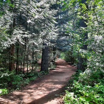 LACAMAS CREEK TRAIL - Updated July 2025 - 103 Photos & 29 Reviews - 200 ...