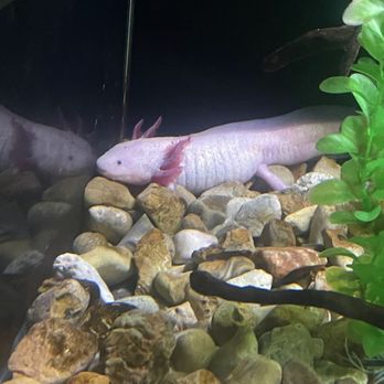 BLUE ZOO - Updated January 2026 - 149 Photos & 31 Reviews - 6401 ...