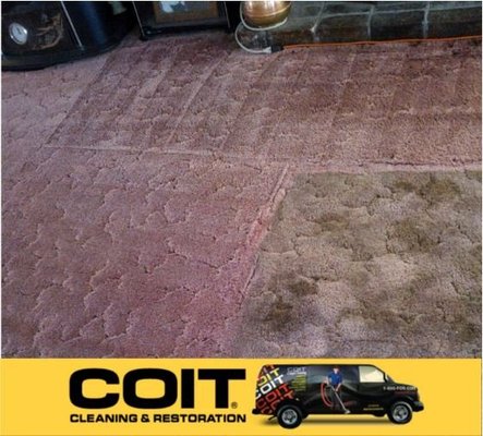 COIT CLEANING AND RESTORATION OF HOUSTON - Updated April 2026 - 92 ...