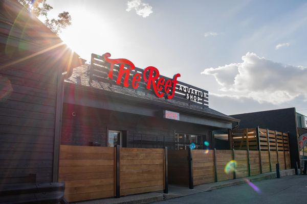 THE REEF AQUARIUM SHOP - Updated December 2025 - 133 Photos & 83 ...