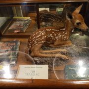 THE YEARLING RESTAURANT - 295 Photos & 129 Reviews - Southern - 14531 E ...