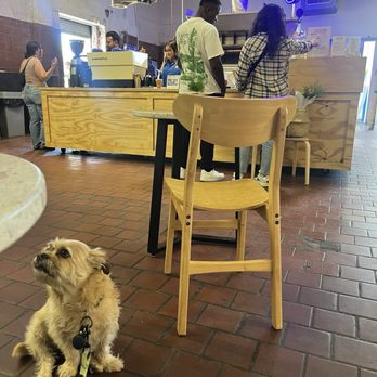 PROVECHO COFFEE - Updated August 2024 - 98 Photos & 53 Reviews - 1955 ...