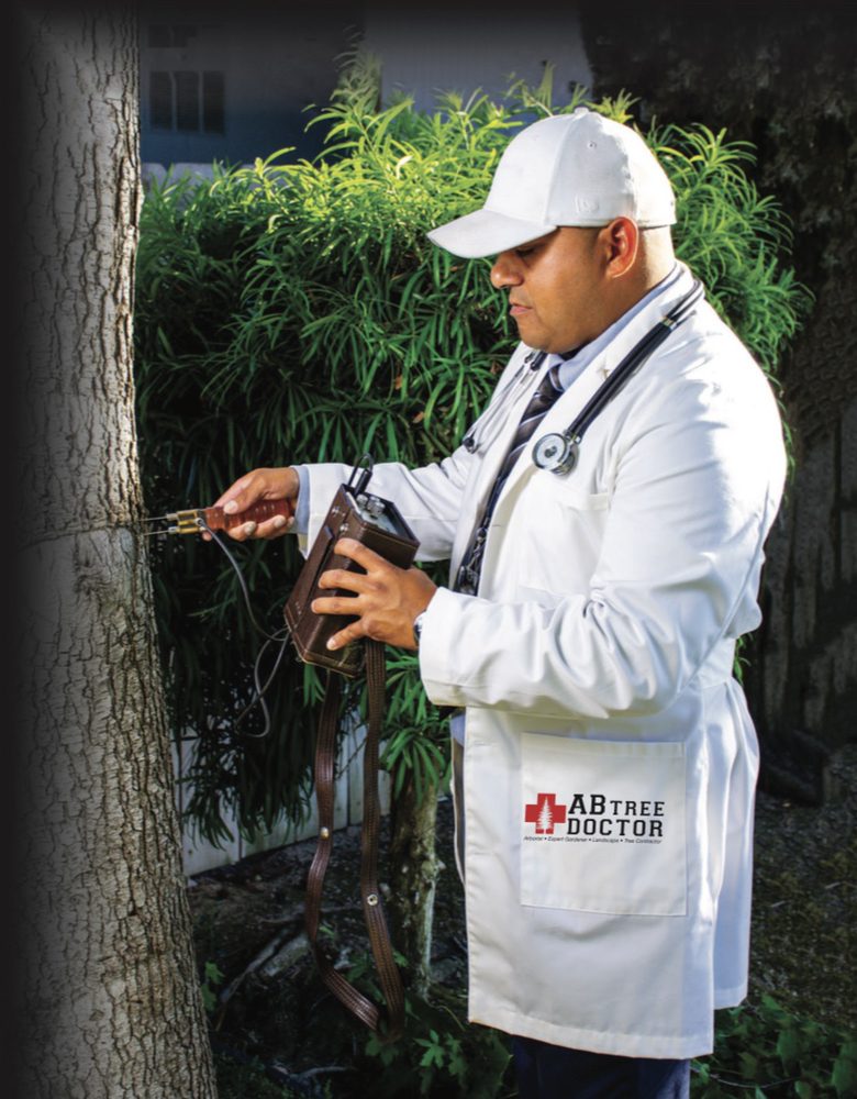 AB TREE DOCTOR - Updated August 2025 - 214 Photos & 41 Reviews - 1201 ...