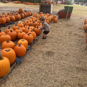 SWEETFIELDS FARM - Updated September 2025 - 359 Photos & 73 Reviews ...