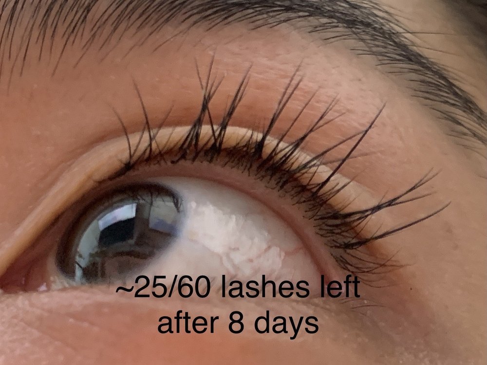 MYNC LASH LOUNGE AND BROW BAR - Updated July 2025 - 29 Photos & 26 ...