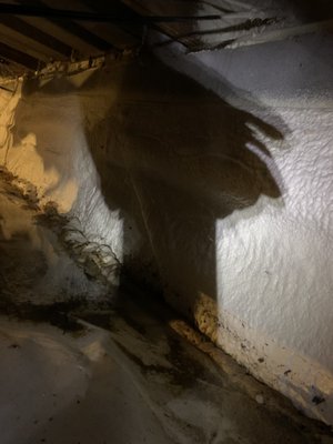 THE DRYING COMPANY - Updated December 2025 - 29 Photos & 18 Reviews ...