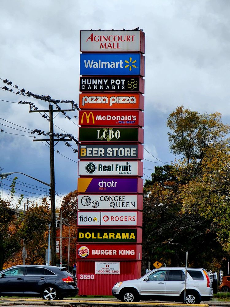 AGINCOURT MALL - Updated December 2024 - 21 Reviews - 3850 Sheppard ...