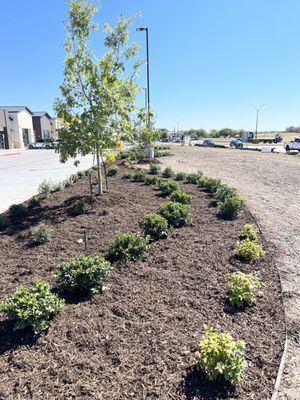 ICONIC LANDSCAPING - Updated August 2025 - 13 Photos - Boyd, Texas ...