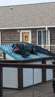 CATCH 23 - Updated May 2025 - 32 Photos & 18 Reviews - 10 Center St ...