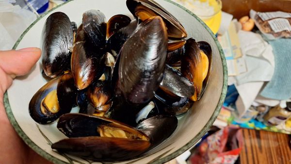 VONS - Updated June 2025 - 598 Photos & 297 Reviews - 745 W Naomi Ave ...