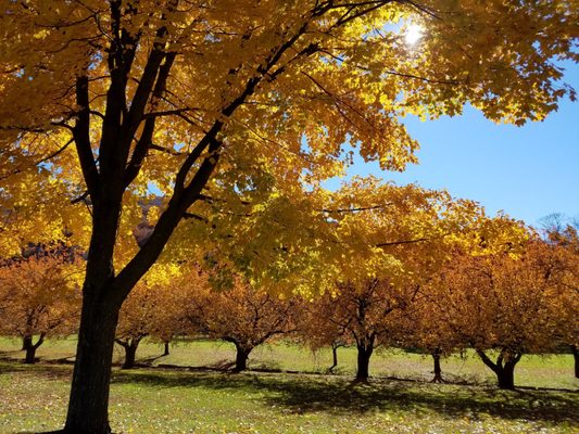 HURD PARK - Updated December 2025 - 53 Photos - W Blackwell St & Park ...