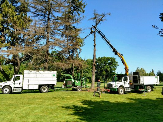 GROVER LANDSCAPE SERVICES - Updated May 2024 - 71 Photos & 20 Reviews ...