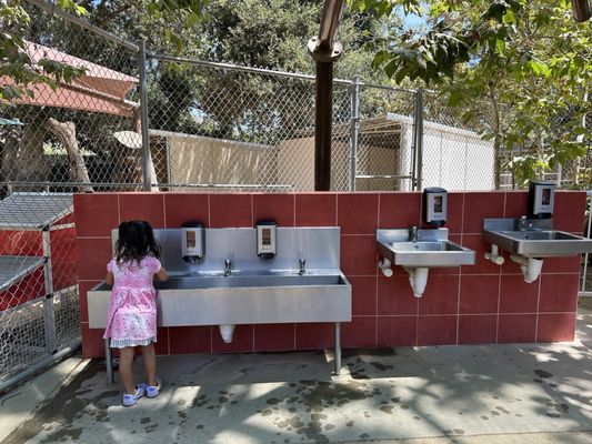 OC ZOO IRVINE REGIONAL PARK - Updated February 2025 - 56 Photos & 29 ...