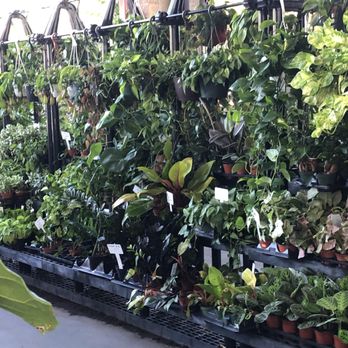 STATE FARMERS MARKET - 816 Photos & 314 Reviews - 1201 Agriculture St ...